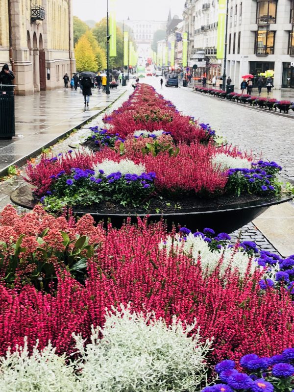 Oslo in an Afternoon - A Thankful Traveler